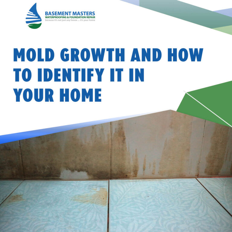 How to Identify Mold Growth in Your Home
